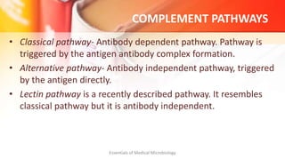 Complement.pptx