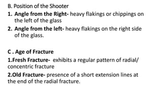 Chapter 13 delta glass and glass fracture.pptx