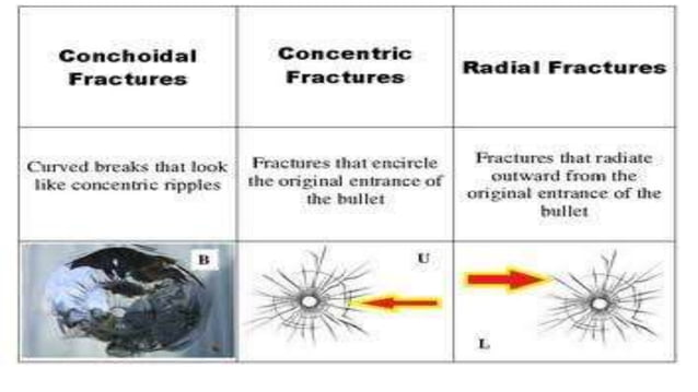 Chapter 13 delta glass and glass fracture.pptx | Chemistry | Science