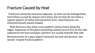 Chapter 13 delta glass and glass fracture.pptx