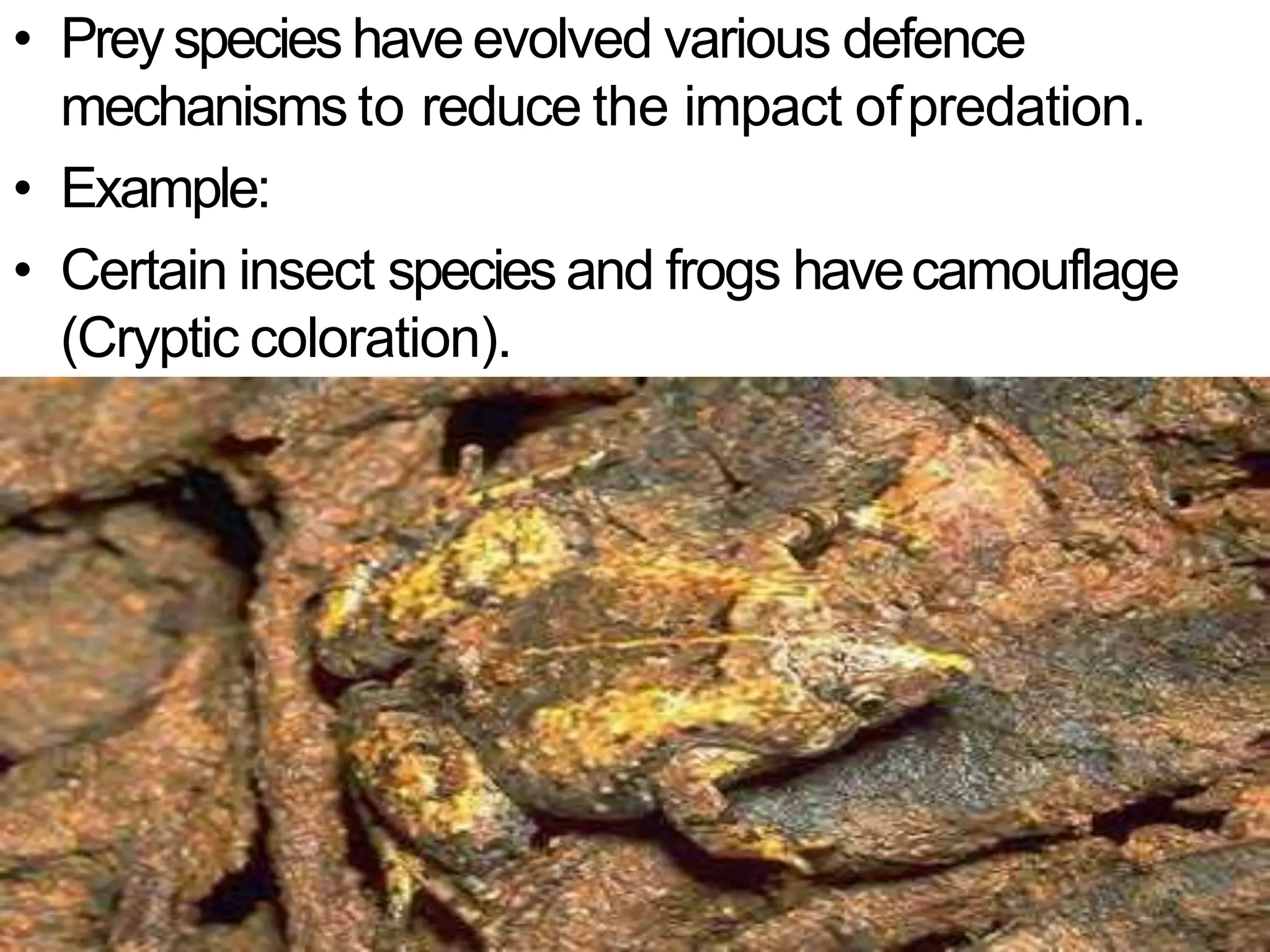 Chapter13 organism and population | PPTX