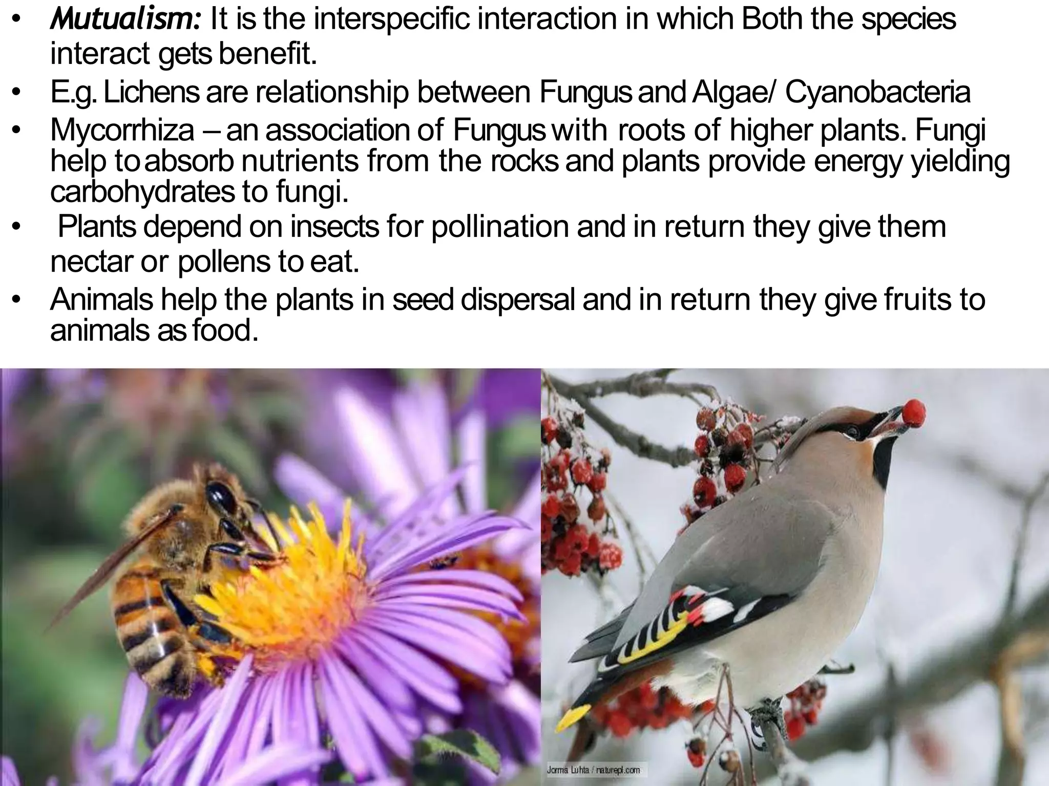 Chapter13 organism and population | PPTX