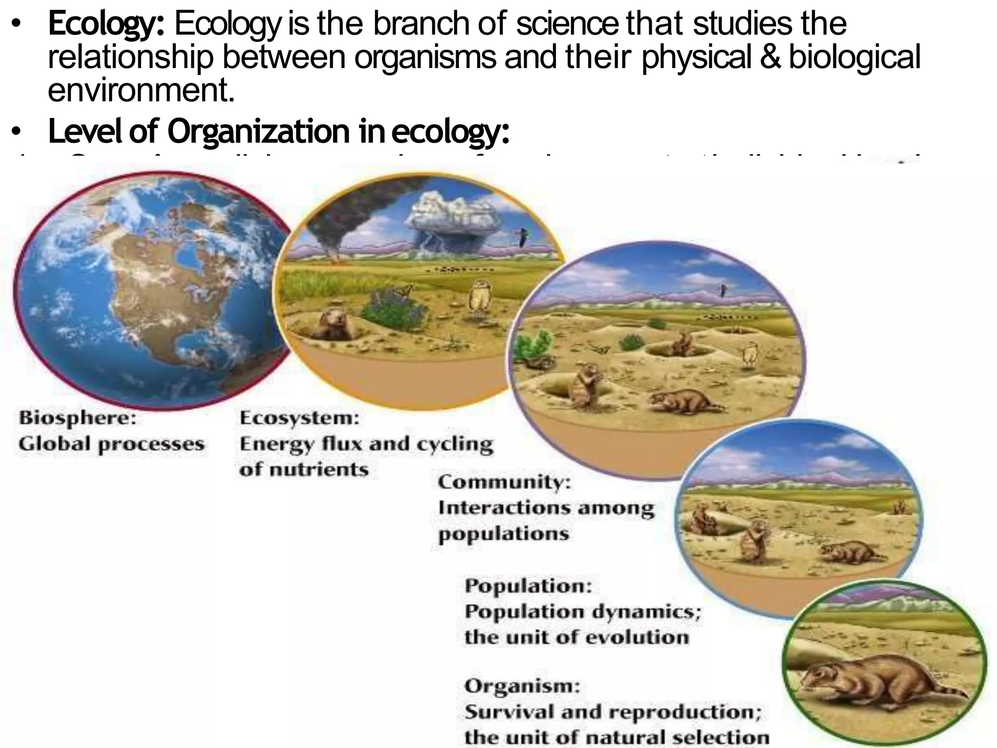 Chapter13 organism and population | PPTX