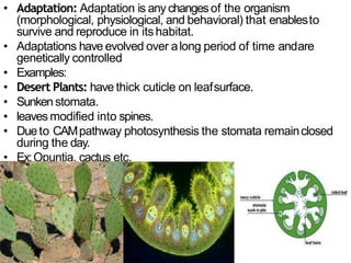 Chapter13 organism and population | PPTX
