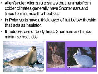 Chapter13 organism and population | PPTX