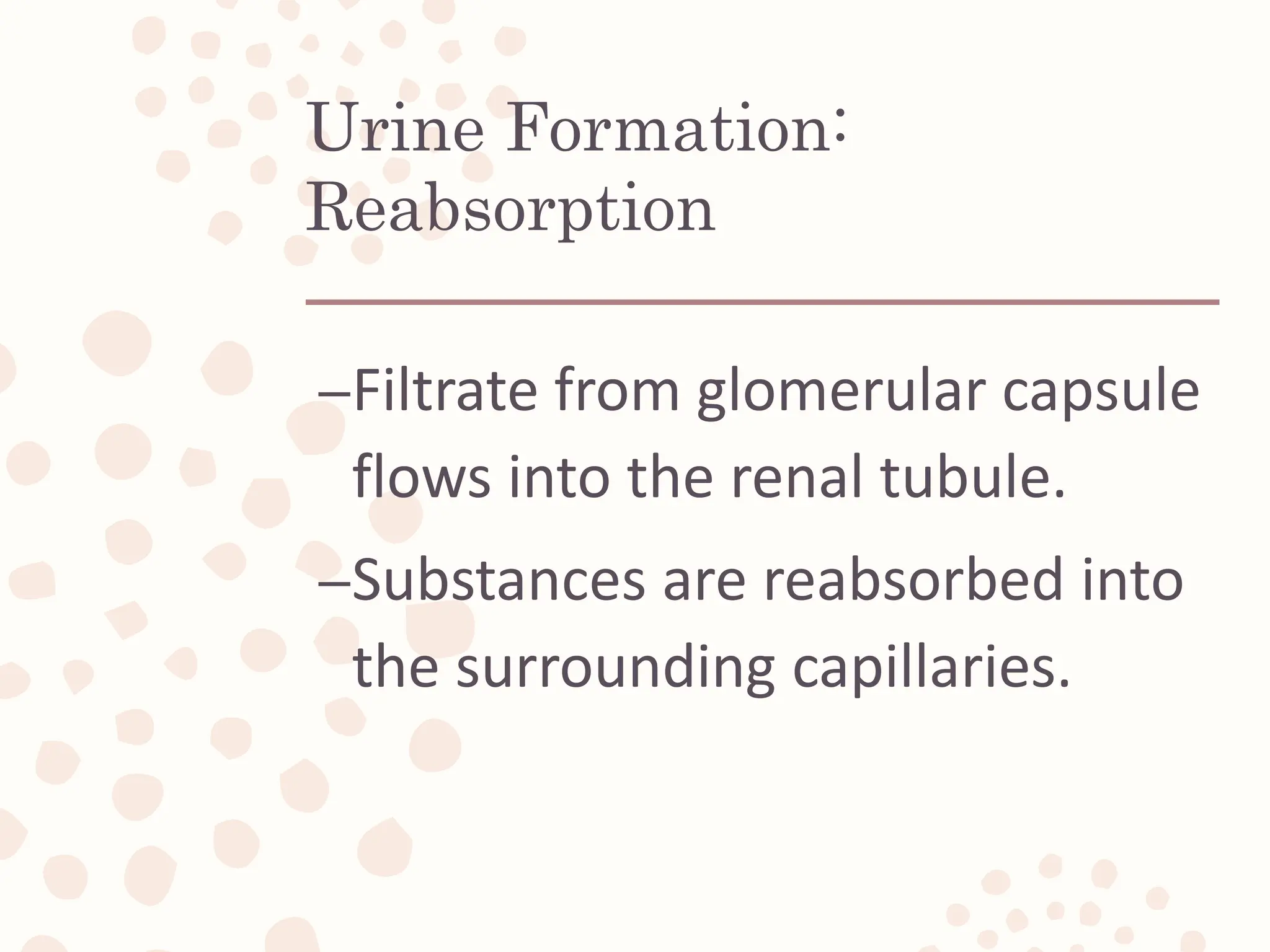 IGCSE Biology 0610. Chapter 13 Excretion in Humans | PPTX