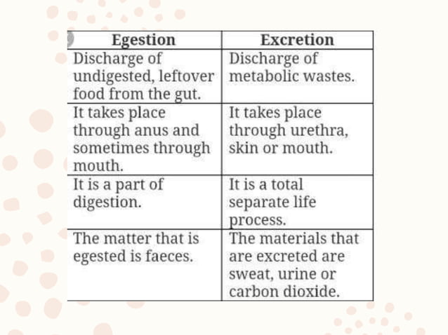 IGCSE Biology 0610. Chapter 13 Excretion in Humans | PPTX