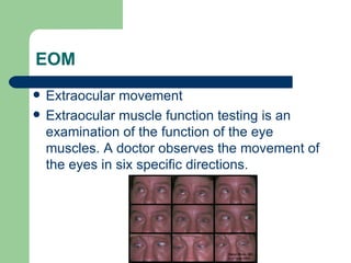 Chapter 13 eye and ear abbreviation | PPT
