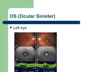 Chapter 13 eye and ear abbreviation | PPT