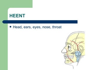 Chapter 13 eye and ear abbreviation | PPT