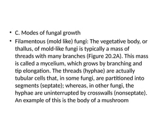 chapter 13 fungi.bbbbbbbbvvcffggffffgpptx | PPTX