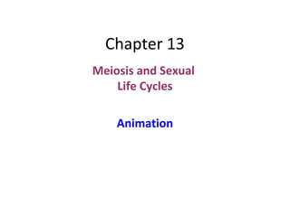 Chapter 13: Meiosis | PPT
