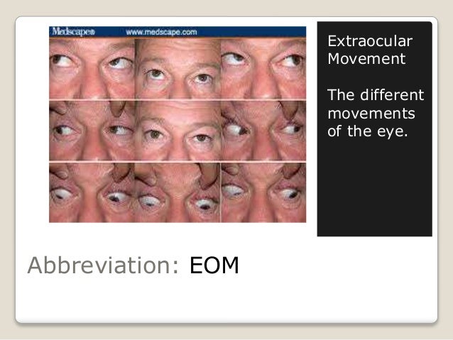 Chapter 13 medical terminology