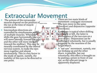 Chapter 13 Presentation | PPTX
