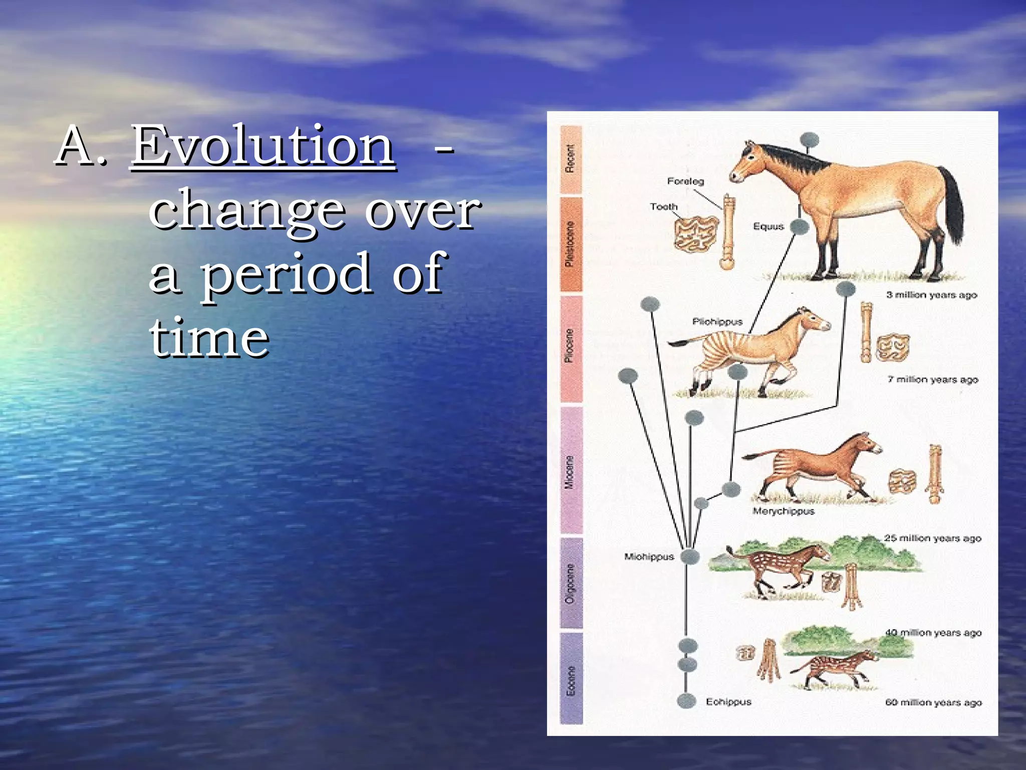 Chapter 13 notes | PPT