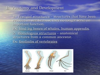 Chapter 13 notes | PPT