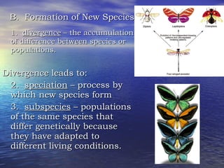 Chapter 13 notes | PPT