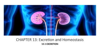 Chapter 13 Part 1.pptx biology igcse ks4 | PPTX
