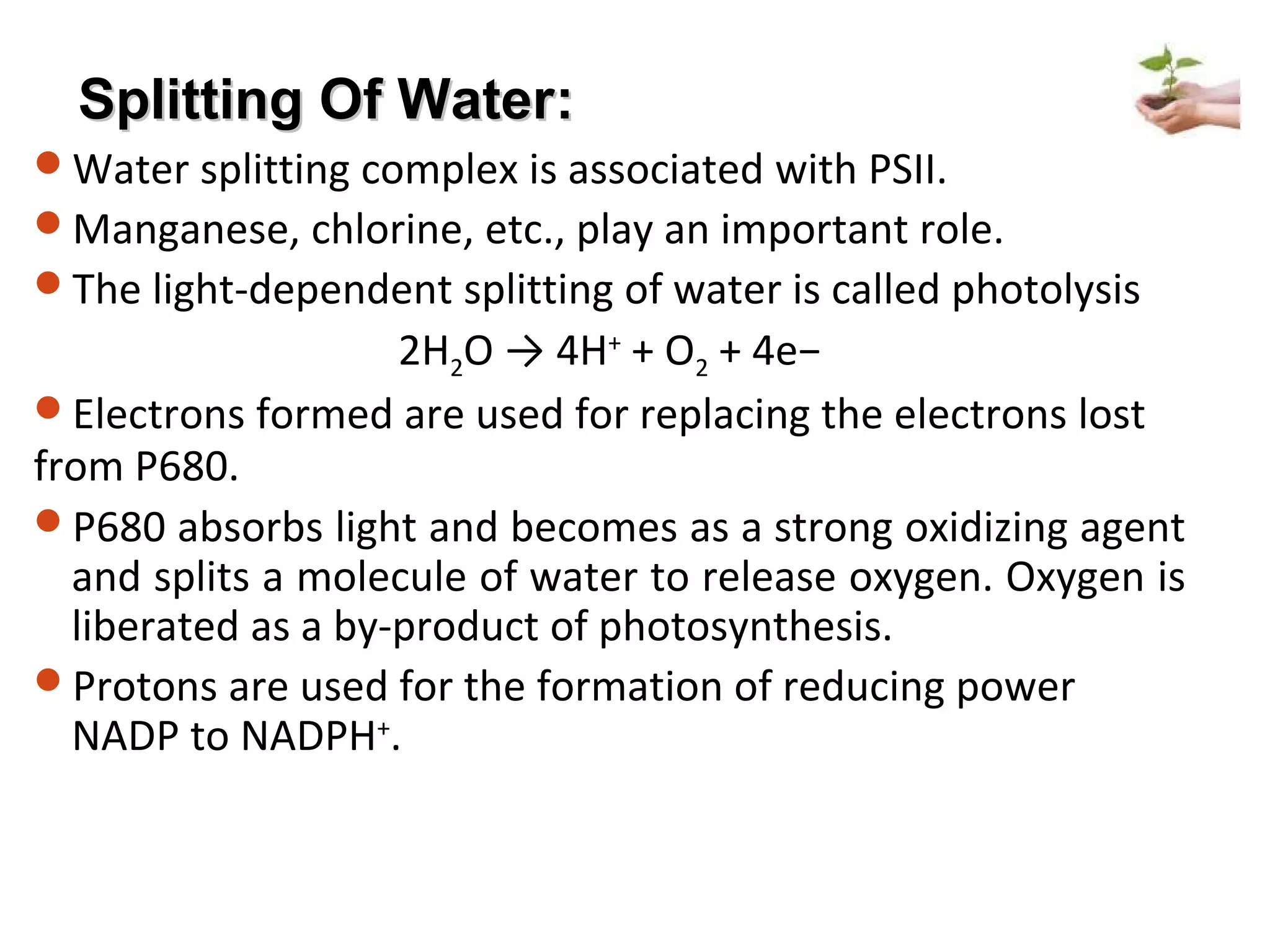 Chapter 13 photosynthesis in higher plants | PPT