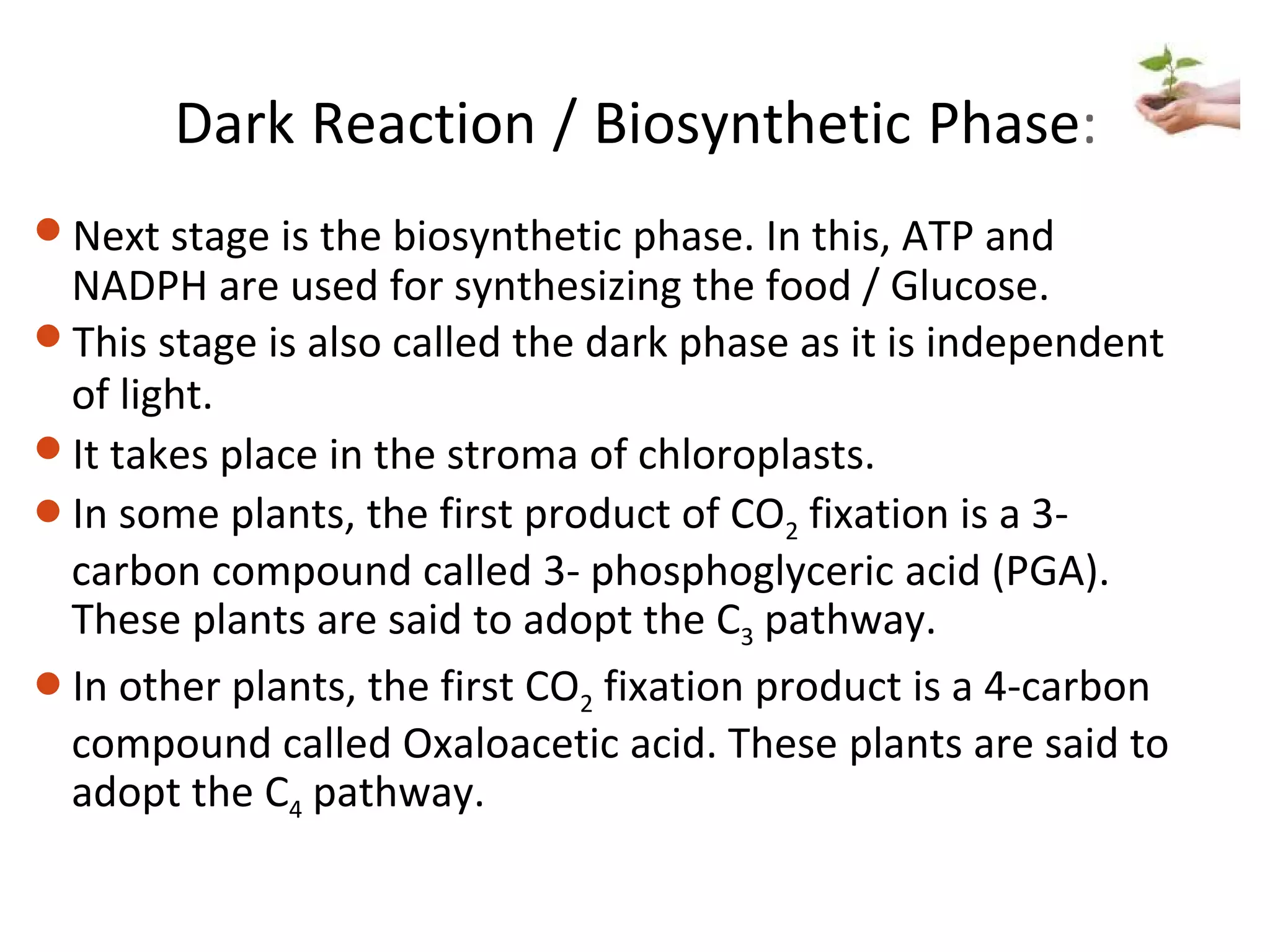 Chapter 13 photosynthesis in higher plants | PPT