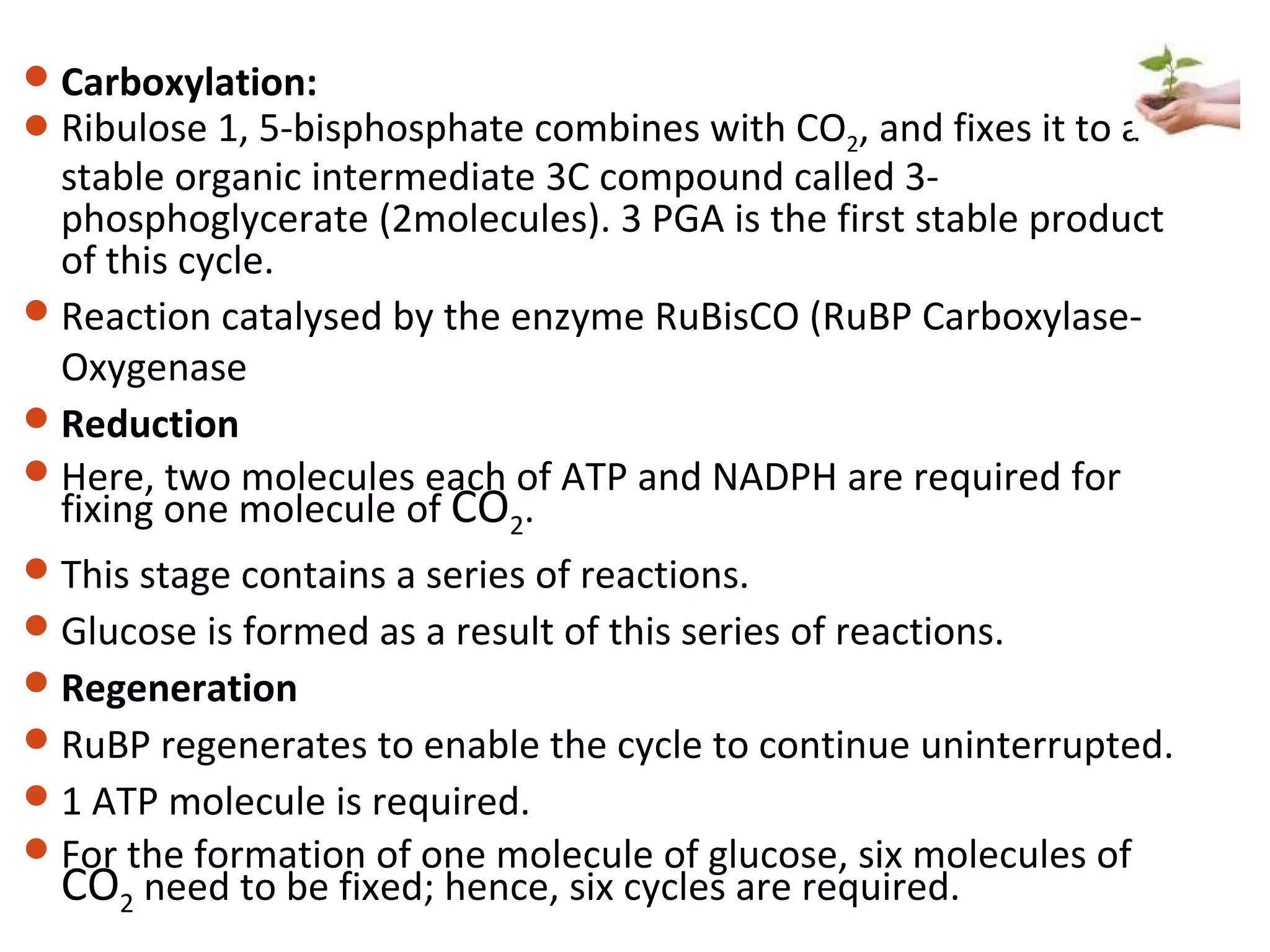 Chapter 13 photosynthesis in higher plants | PPT