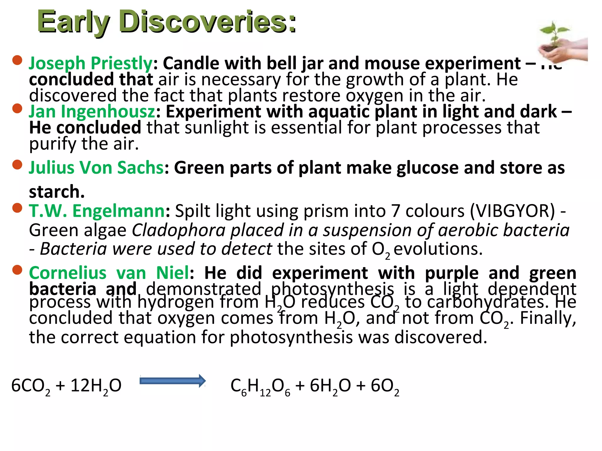 Chapter 13 photosynthesis in higher plants | PPT