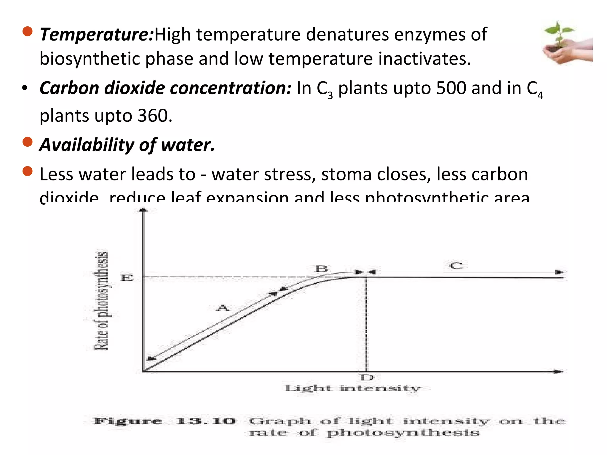 Chapter 13 photosynthesis in higher plants | PPT