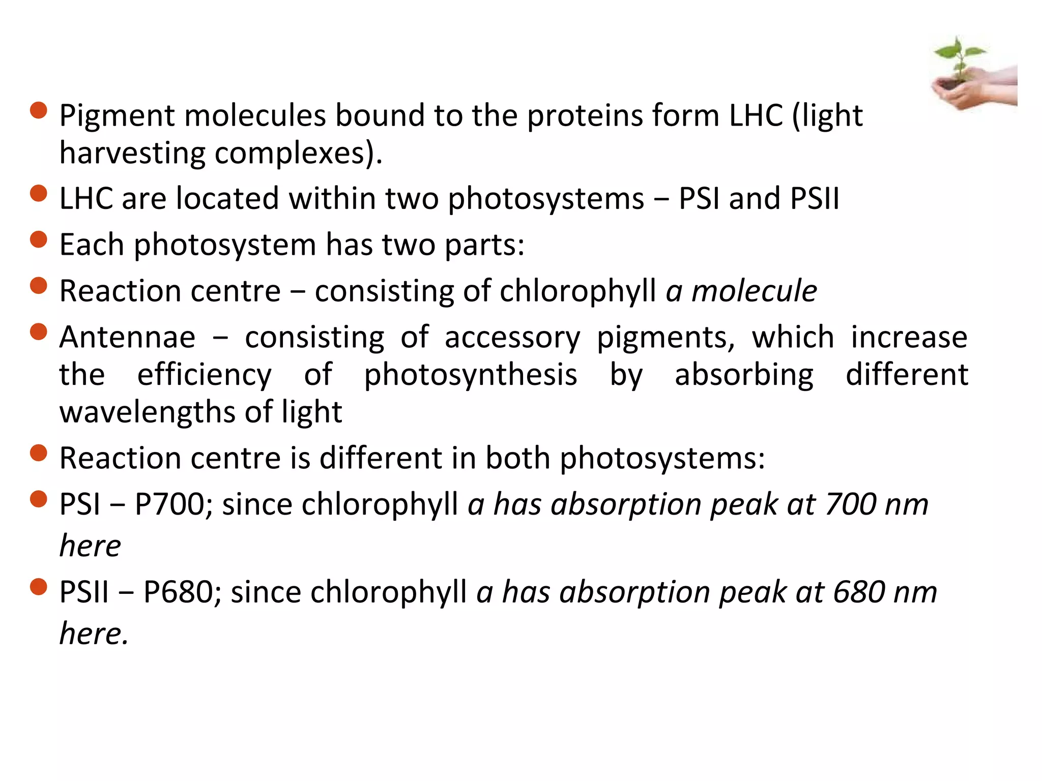 Chapter 13 photosynthesis in higher plants | PPT