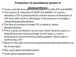 Chapter 13 photosynthesis in higher plants | PPT