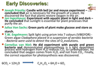 Chapter 13 photosynthesis in higher plants | PPT
