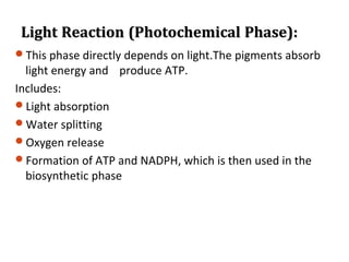 Chapter 13 photosynthesis in higher plants | PPT