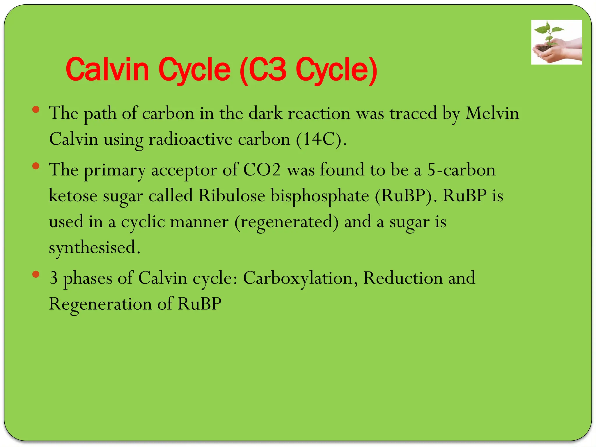 CHAPTER – 13 PHOTOSYNTHESIS IN HIGHER PLANTS.pptx