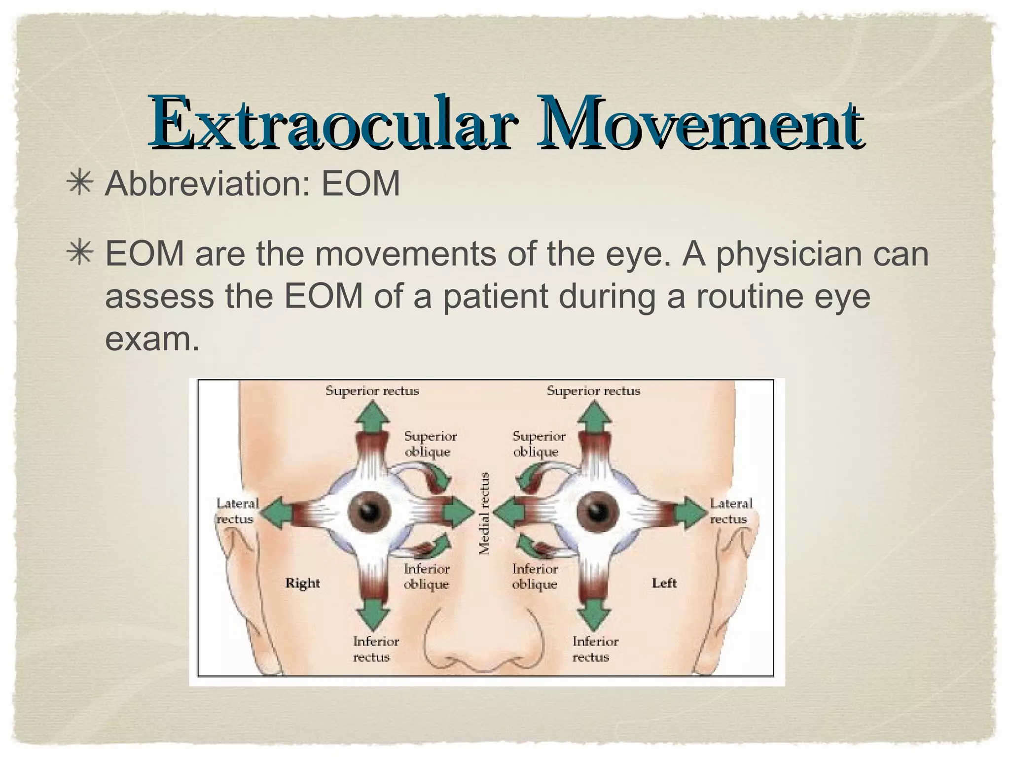 Chapter 13 Presentation | PPT