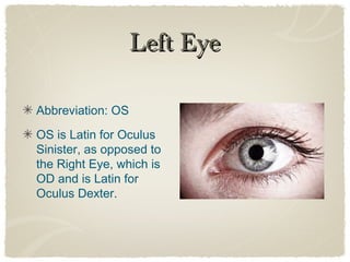 Chapter 13 Presentation | PPT | Ear, Nose and Throat Conditions ...