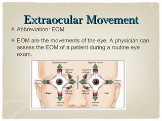 Chapter 13 Presentation | PPT | Ear, Nose and Throat Conditions ...