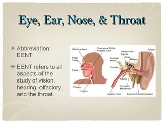 Chapter 13 Presentation | PPT