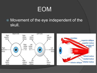 Chapter13 presentation | PPT | Free Download