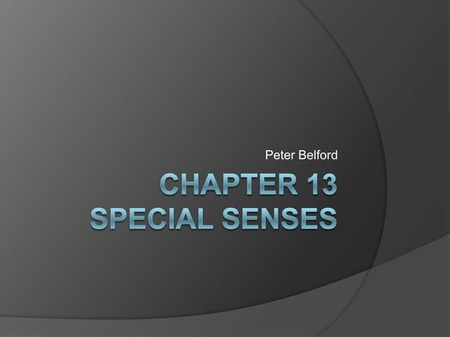 Chapter13 presentation | PPT