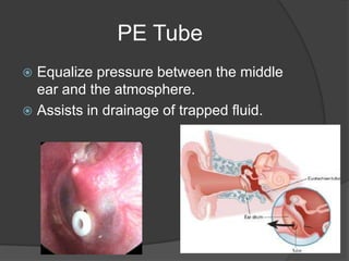 Chapter13 presentation | PPT
