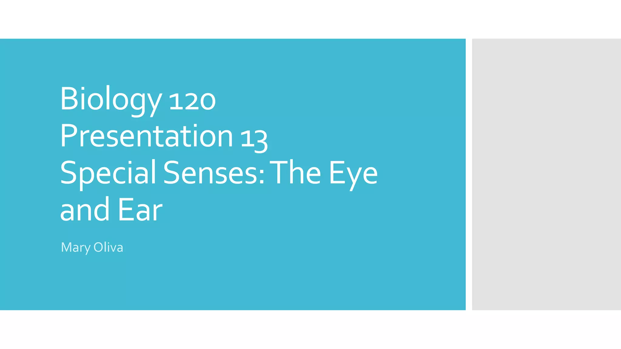 Chapter 13 - Special Senses: Eye and Ear Abbreviations | PPTX