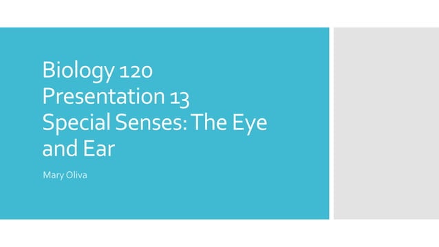 Chapter 13 - Special Senses: Eye and Ear Abbreviations | PPTX