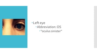 Chapter 13 - Special Senses: Eye and Ear Abbreviations | PPTX