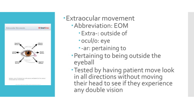 Chapter 13 - Special Senses: Eye and Ear Abbreviations | PPTX