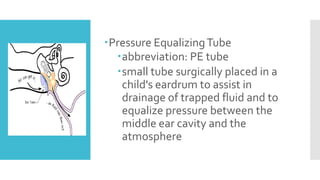 Chapter 13 - Special Senses: Eye and Ear Abbreviations | PPTX