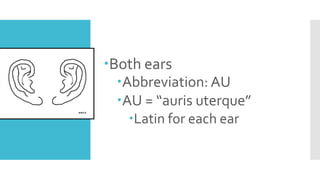 Chapter 13 - Special Senses: Eye and Ear Abbreviations | PPTX