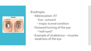 Chapter 13 - Special Senses: Eye and Ear Abbreviations | PPTX