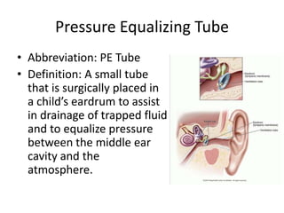 Chapter 13 Presentation Pptx