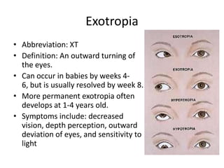 Chapter 13 presentation | PPTX