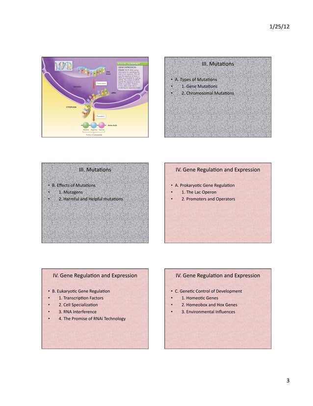 Chapter13 rna protein synthesis | PDF