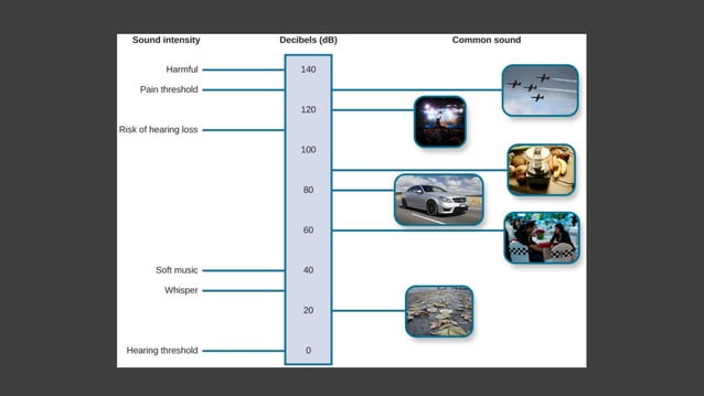 Chapter - 13, Sound, Science, Class 8 | PDF